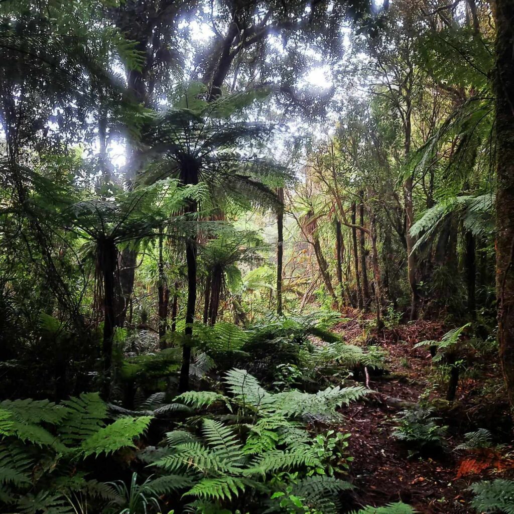 Te Araroa Trail – Part 20 – Discover with Danni