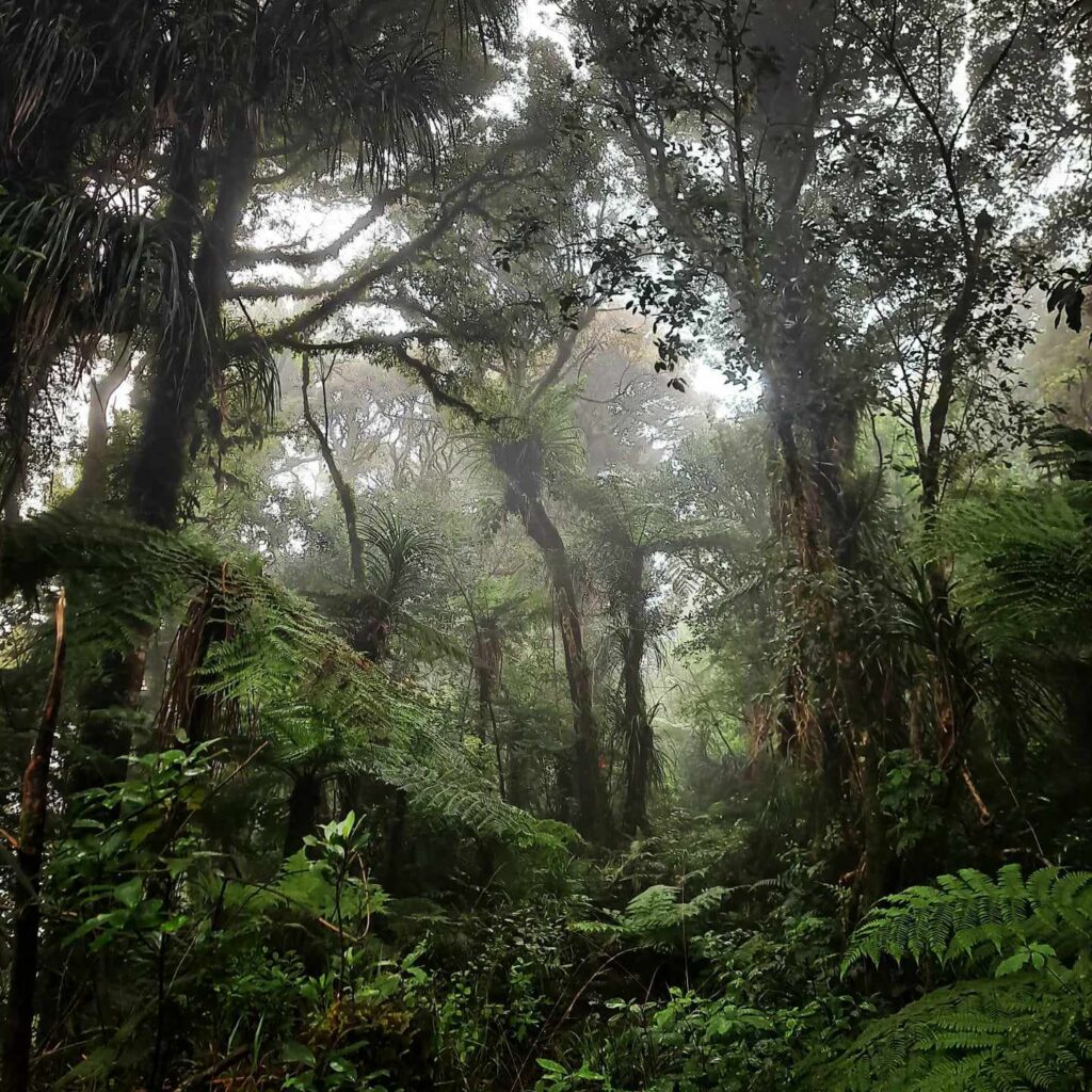 Te Araroa Trail – Part 20 – Discover with Danni